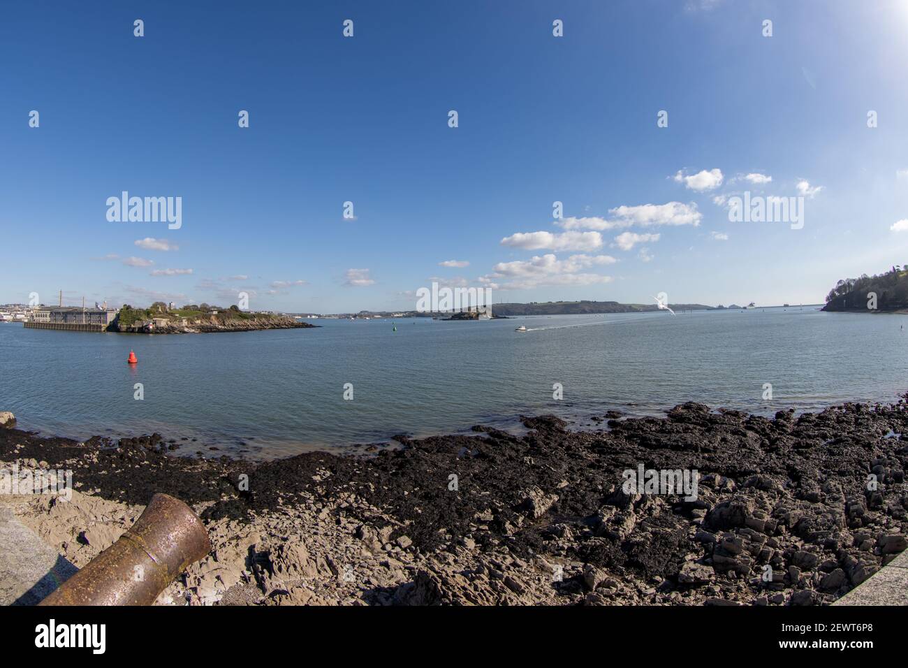 Mount Edgecombe Country Park Stock Photo - Alamy