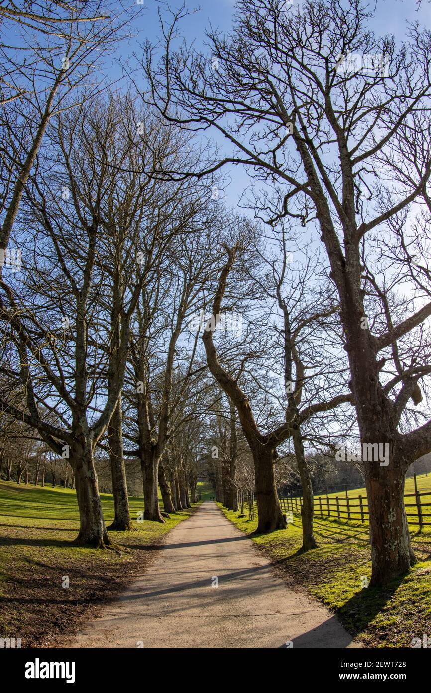 Edgecombe house hi-res stock photography and images - Alamy