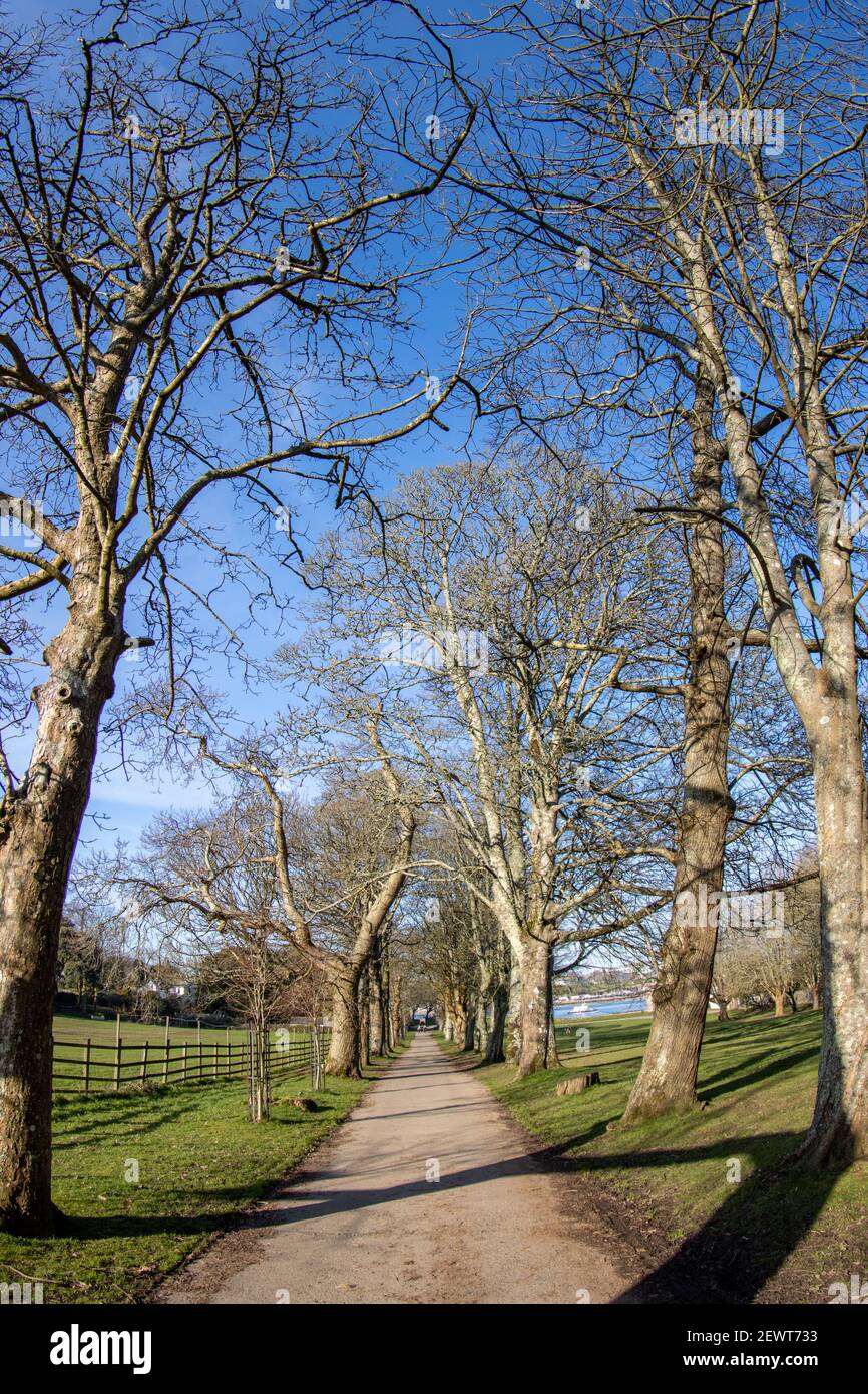 Mount Edgecombe Country Park Stock Photo - Alamy