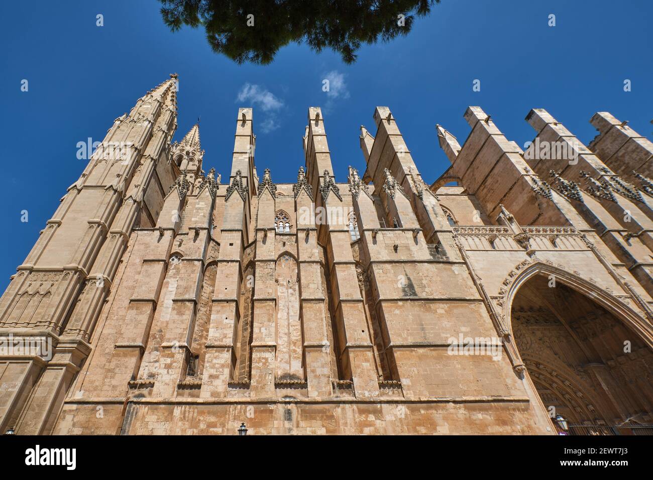 Catedral basilica de santa maria mallorca hi-res stock photography and ...