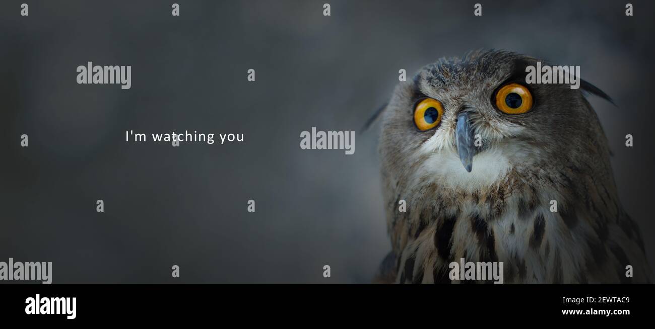 Im Watching You Face