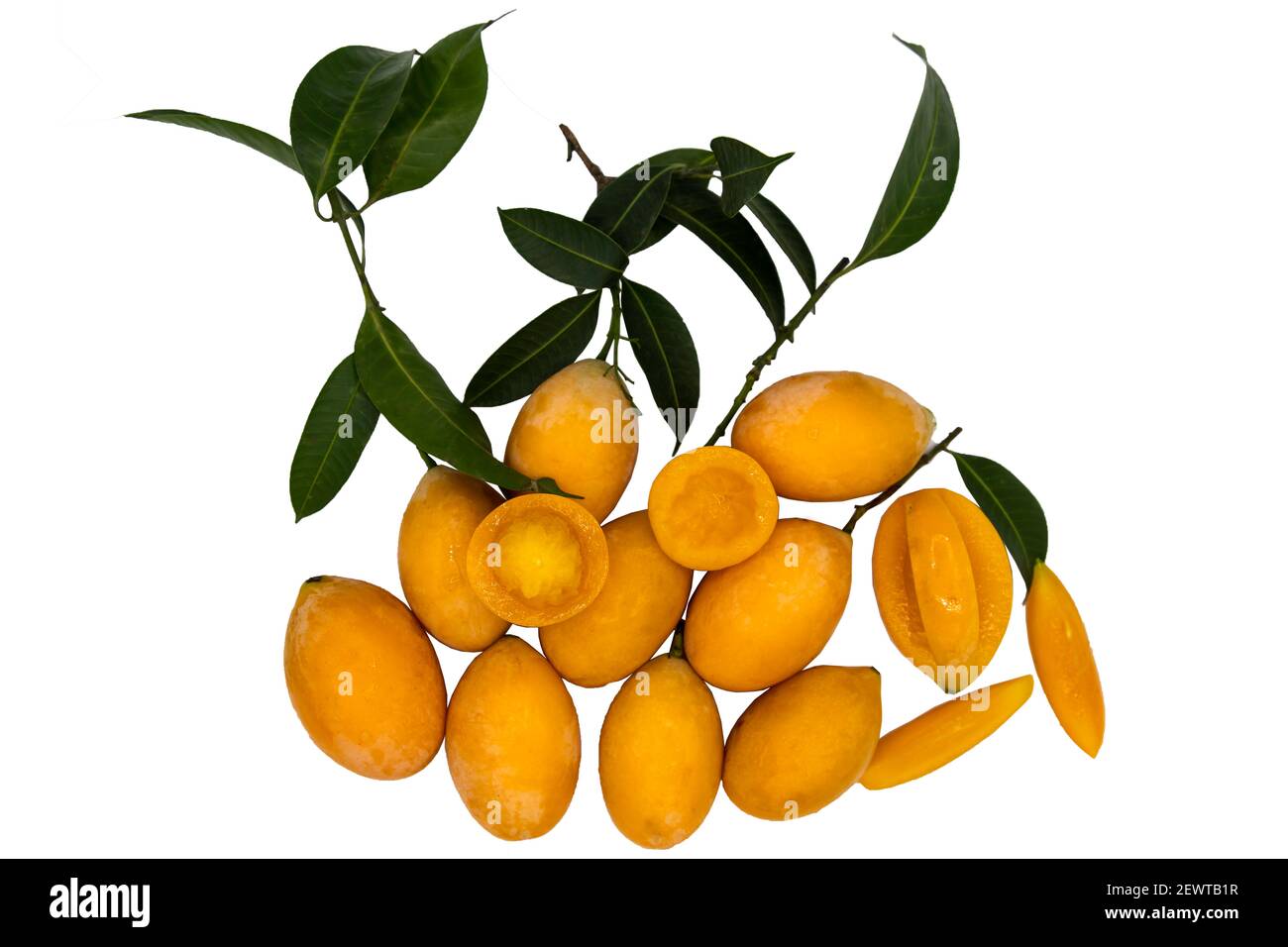 Fresh marian plums sweet yellow or mayong-chit with green leaf isolated ...