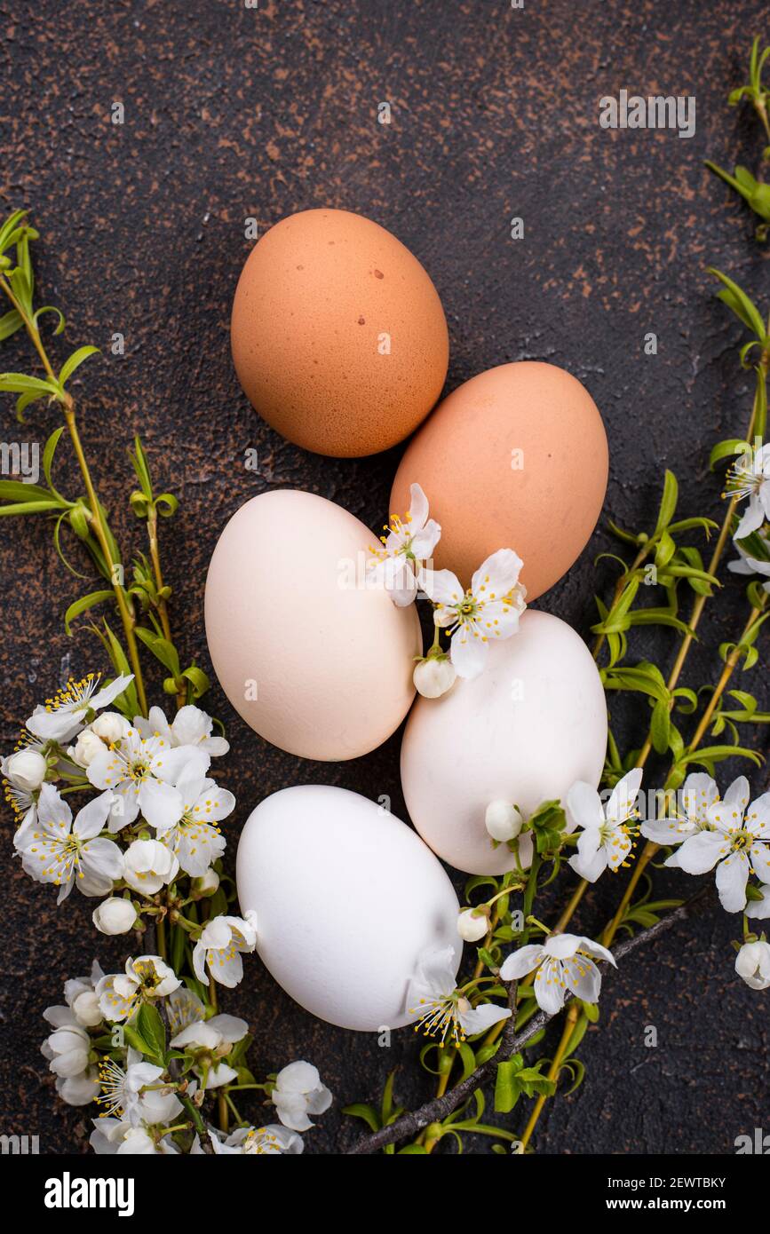 Chicken eggs gradient from light to dark Stock Photo - Alamy