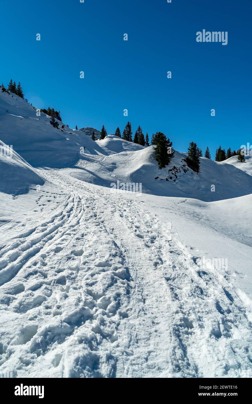 Bregenzerwald region hi-res stock photography and images - Alamy