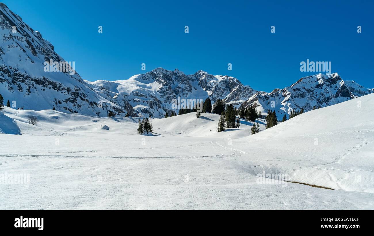 Schneeschuhspuren im verschneiten Bregenzerwald. Snowshoe tracks in the ...