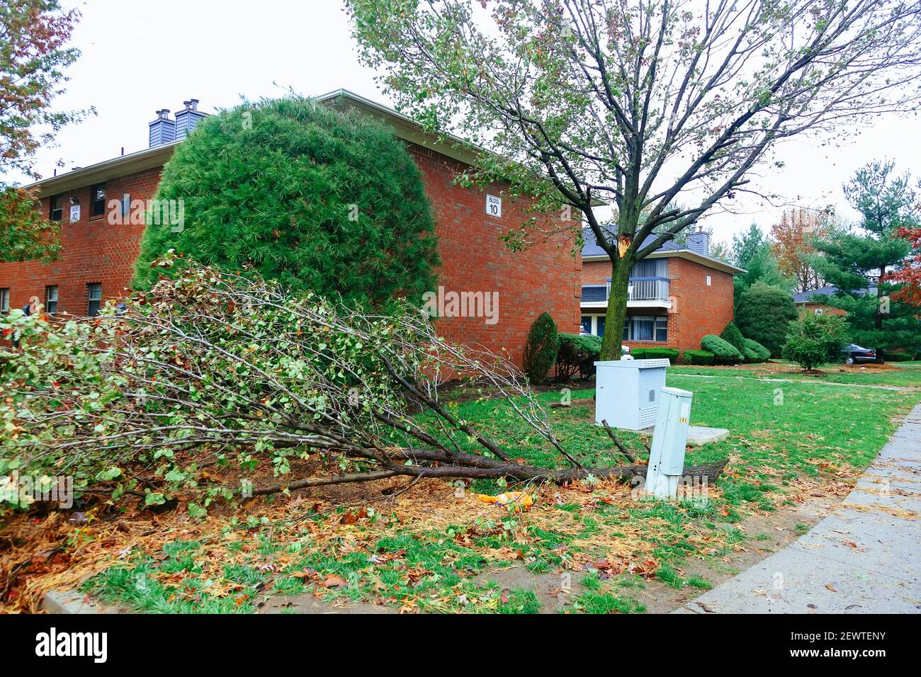 Hurricane flood and wind damage tornado storm felled trees flooding ...