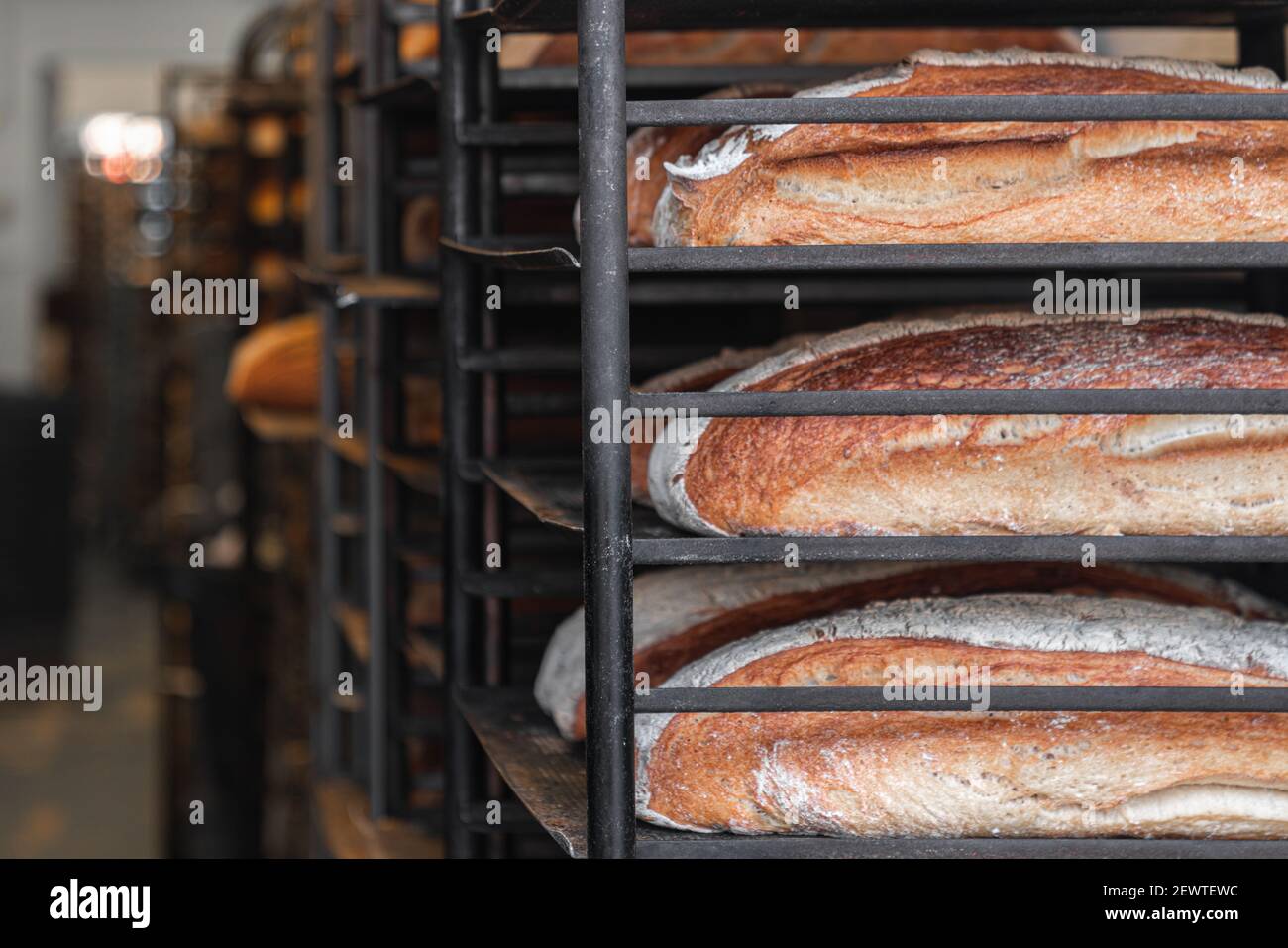 fresh baked bread lined u on iron metal racking ready for the market ...