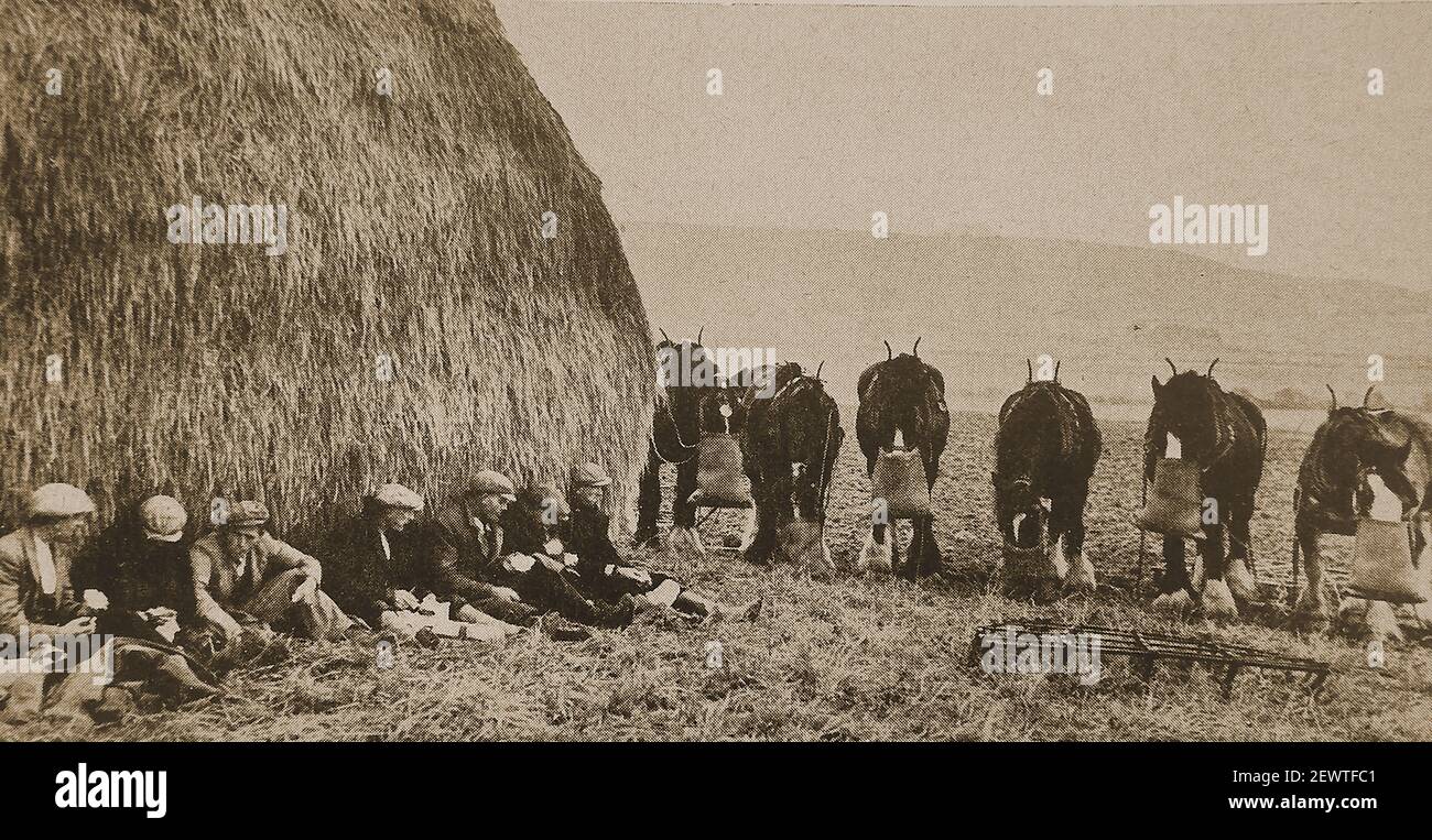 Farm workers 1930s hi-res stock photography and images - Alamy