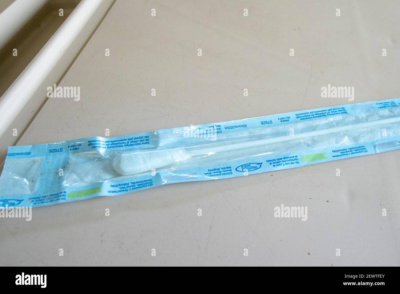 Illustration picture shows a giant nose swab, at the DPB Veterinary ...