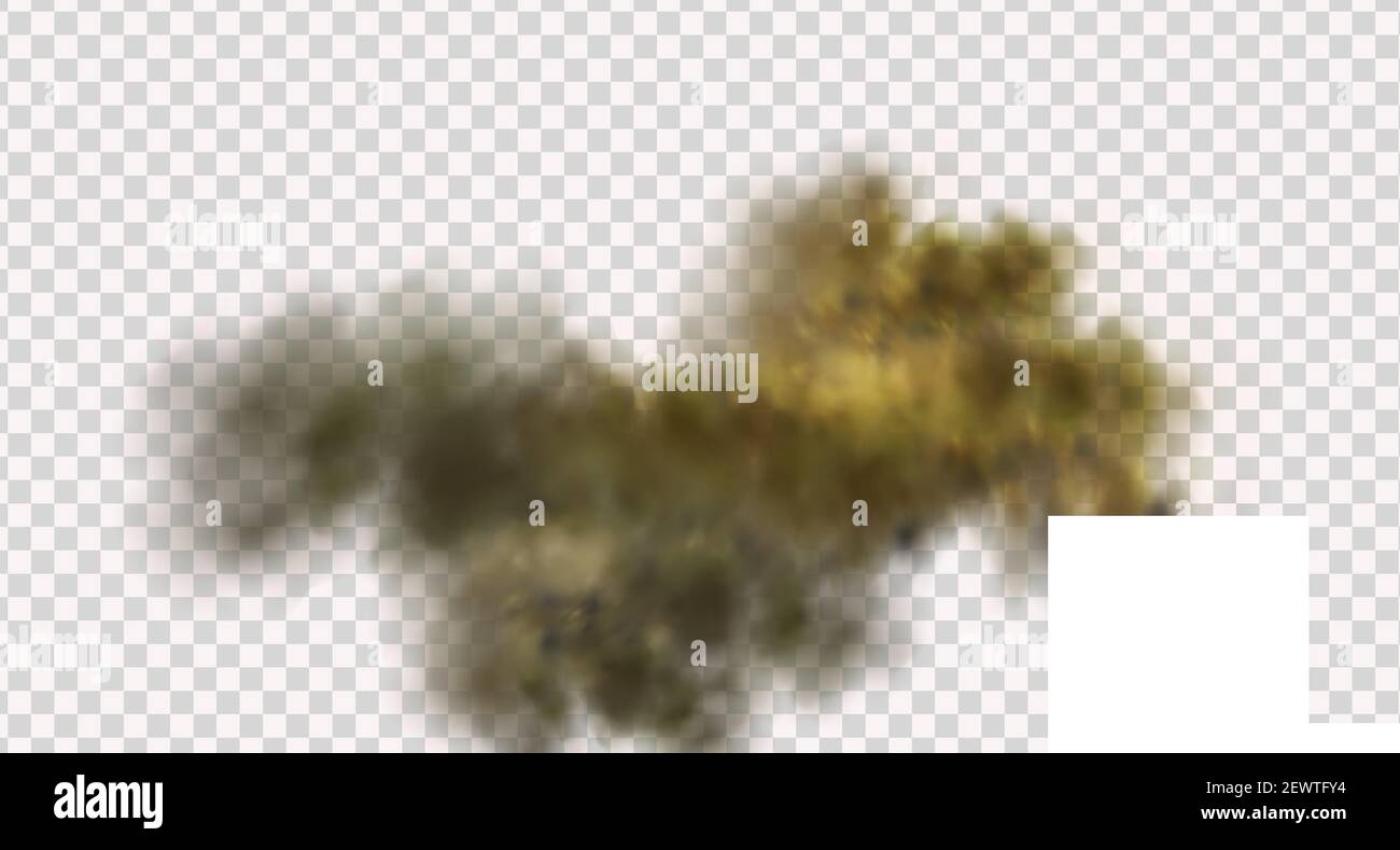 Realistic vector illustration.Sandstorm, a cloud of dust or sand flying ...