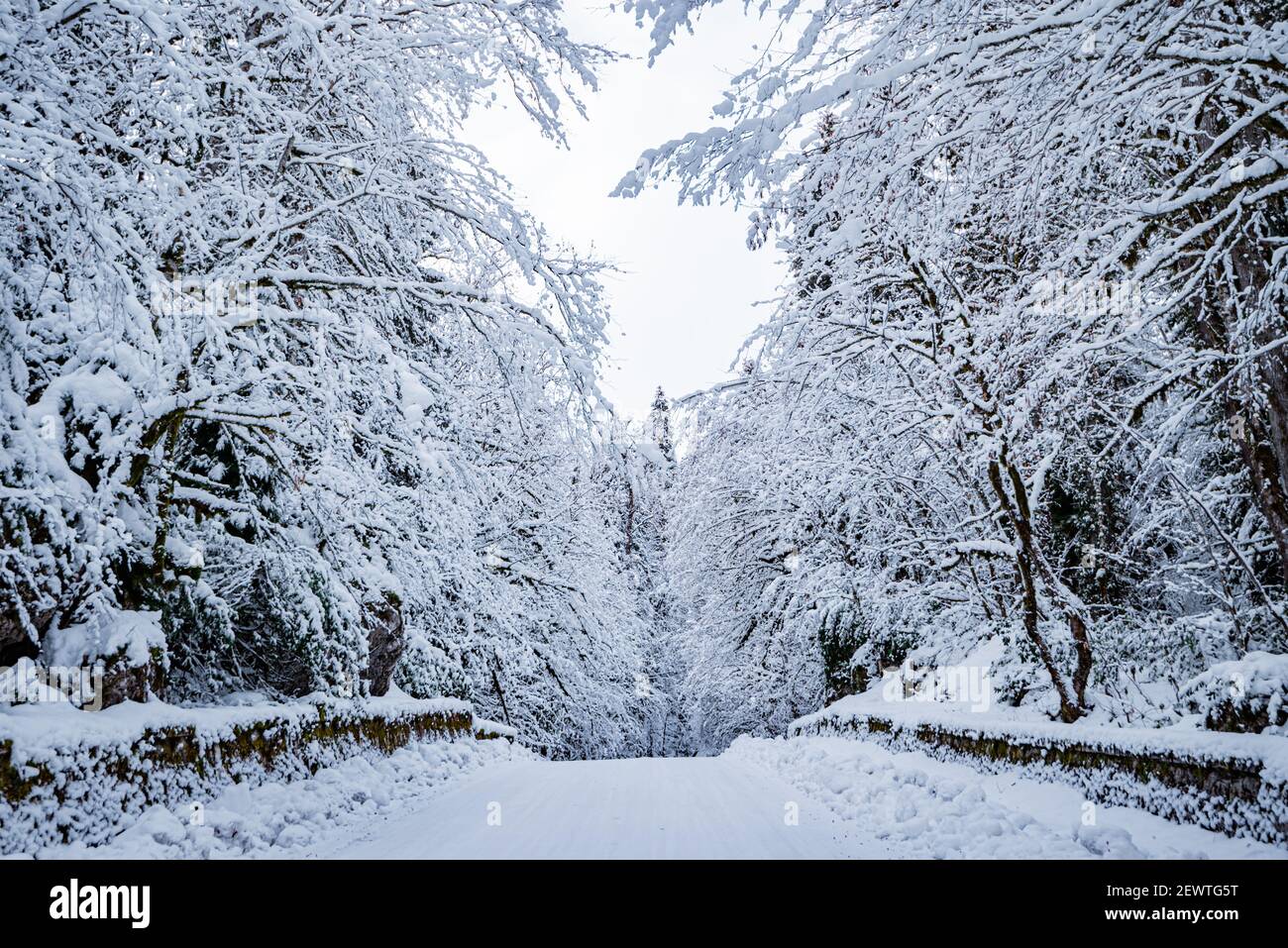 Mountain Road Winter Landscape Snow Path Automobile road Stock Photo ...