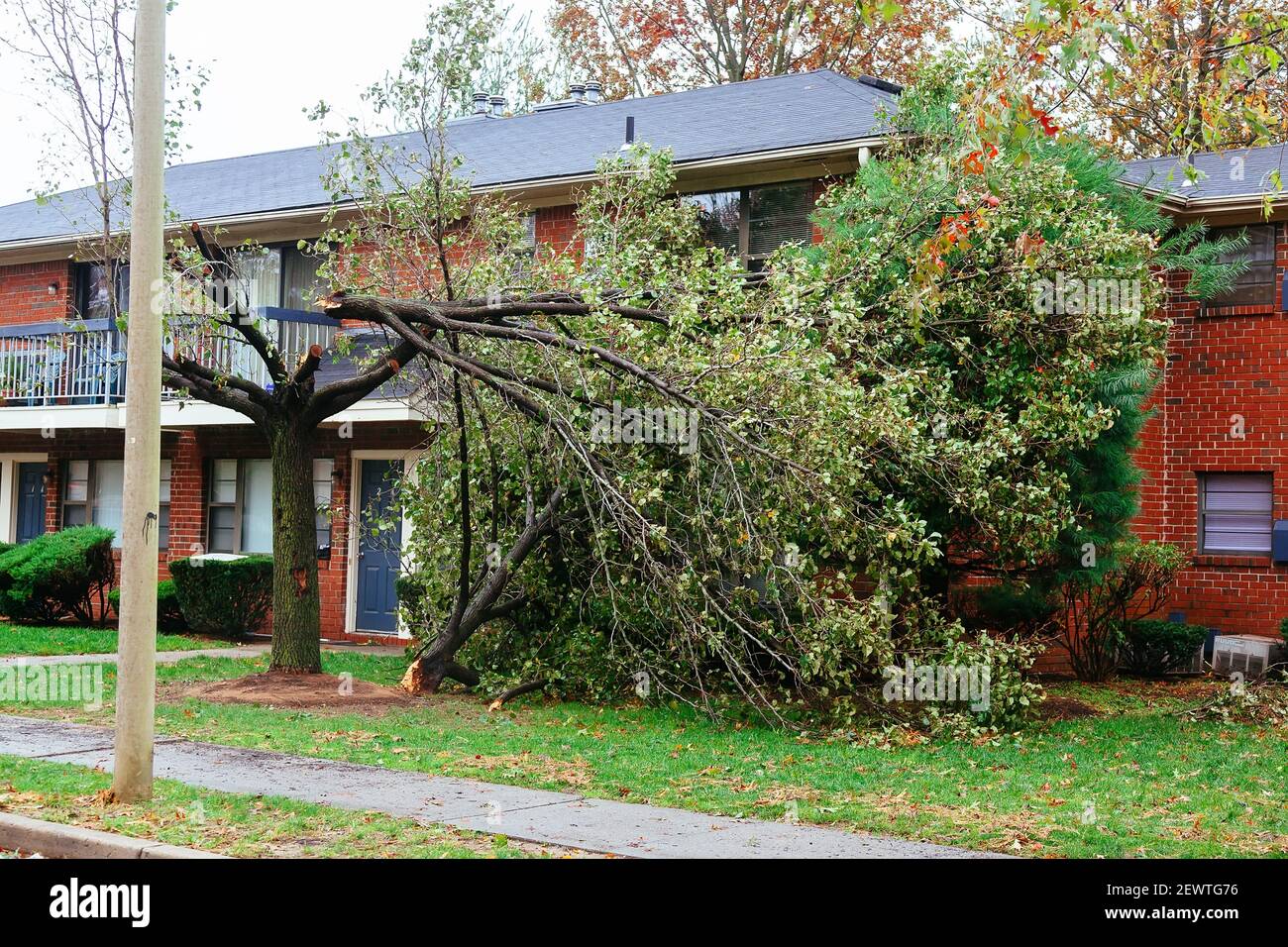 Hurricane flood and wind damage tornado storm felled trees flooding ...