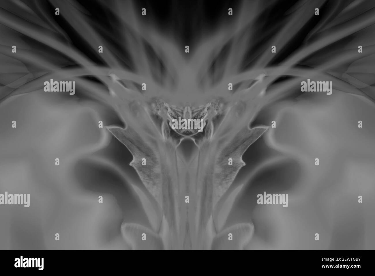 Image solarization hi-res stock photography and images - Alamy