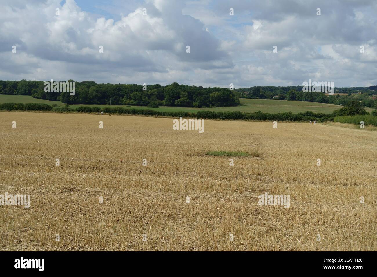 farm fields Wiltshire England Stock Photo - Alamy