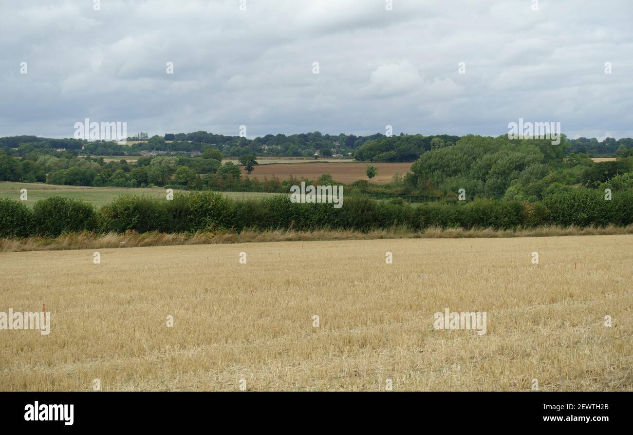 English farm field after harvesting hi-res stock photography and images ...