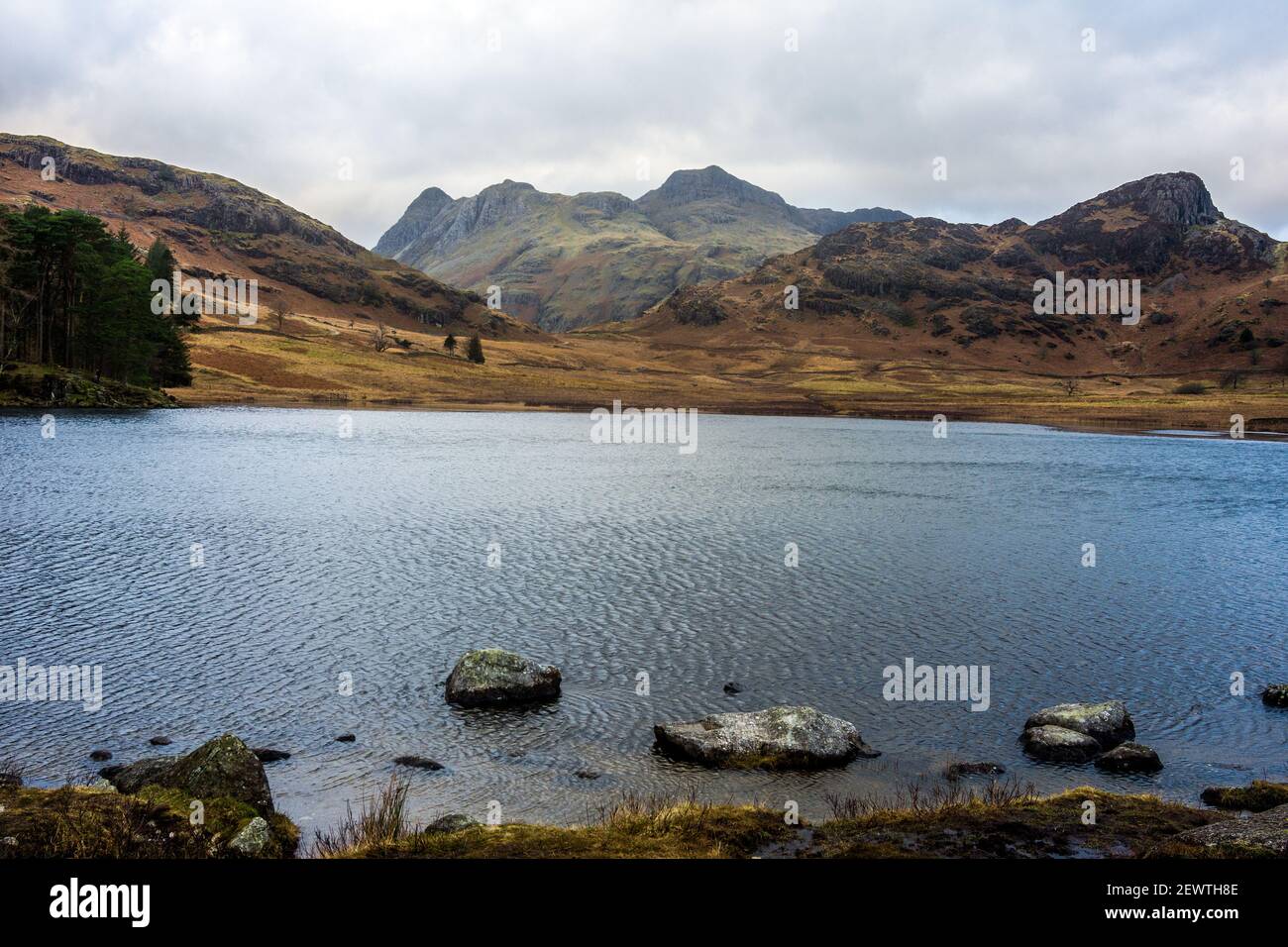 An overcast day at Blea Tarn Stock Photo - Alamy