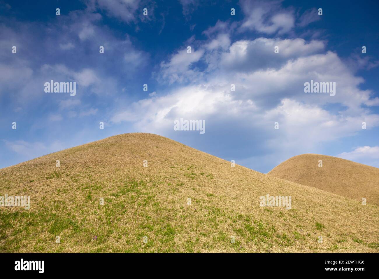 Daereungwon royal tombs hi-res stock photography and images - Alamy