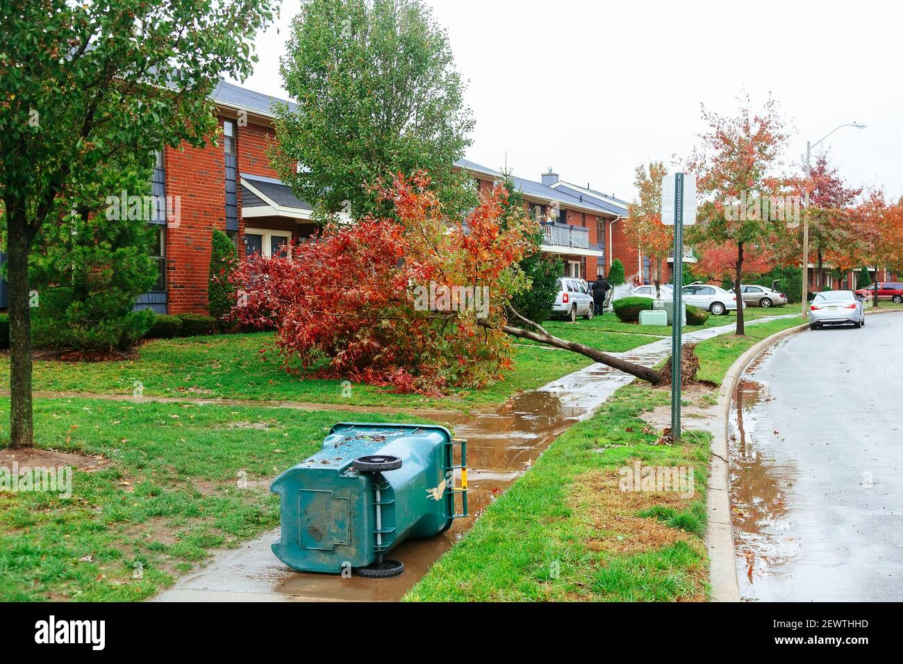 Hurricane flood and wind damage tornado storm felled trees flooding ...