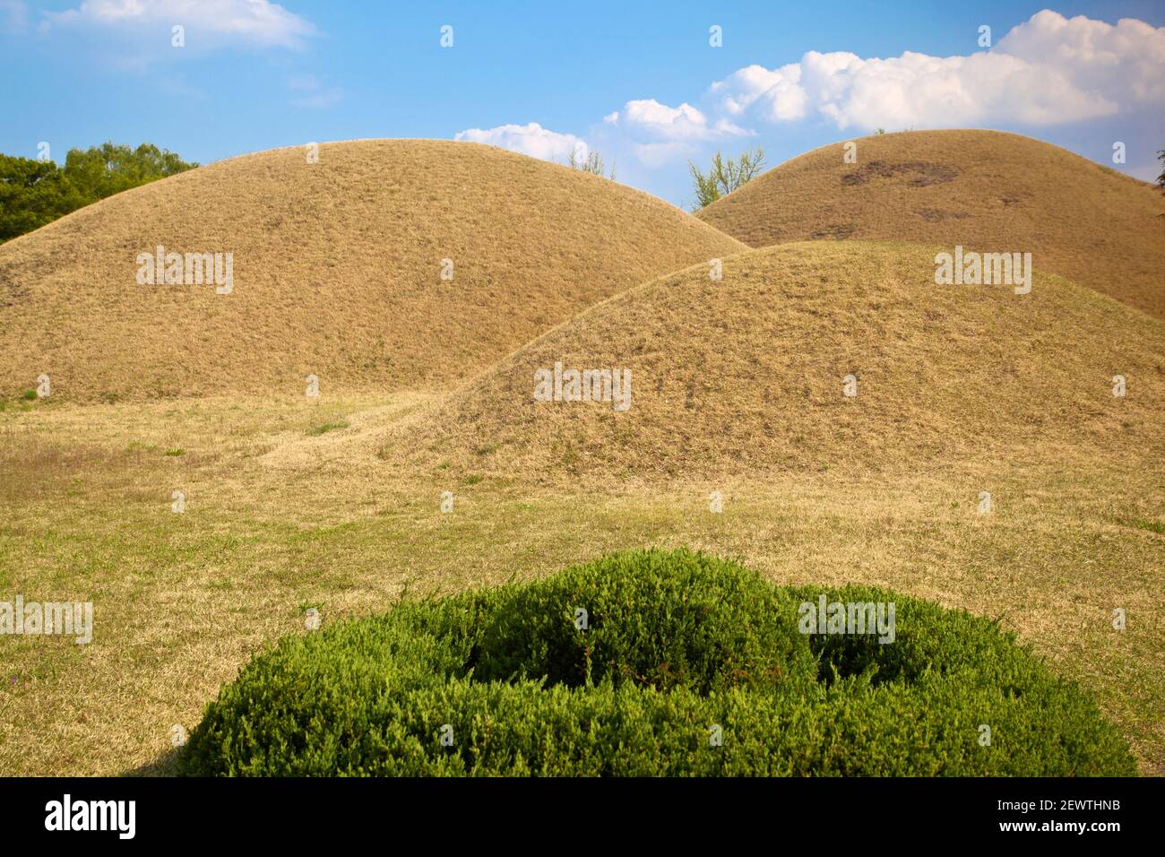 Korea, Gyeongsangbuk-do, Gyeongju, Tumuli Park, Daereungwon Royal tombs ...