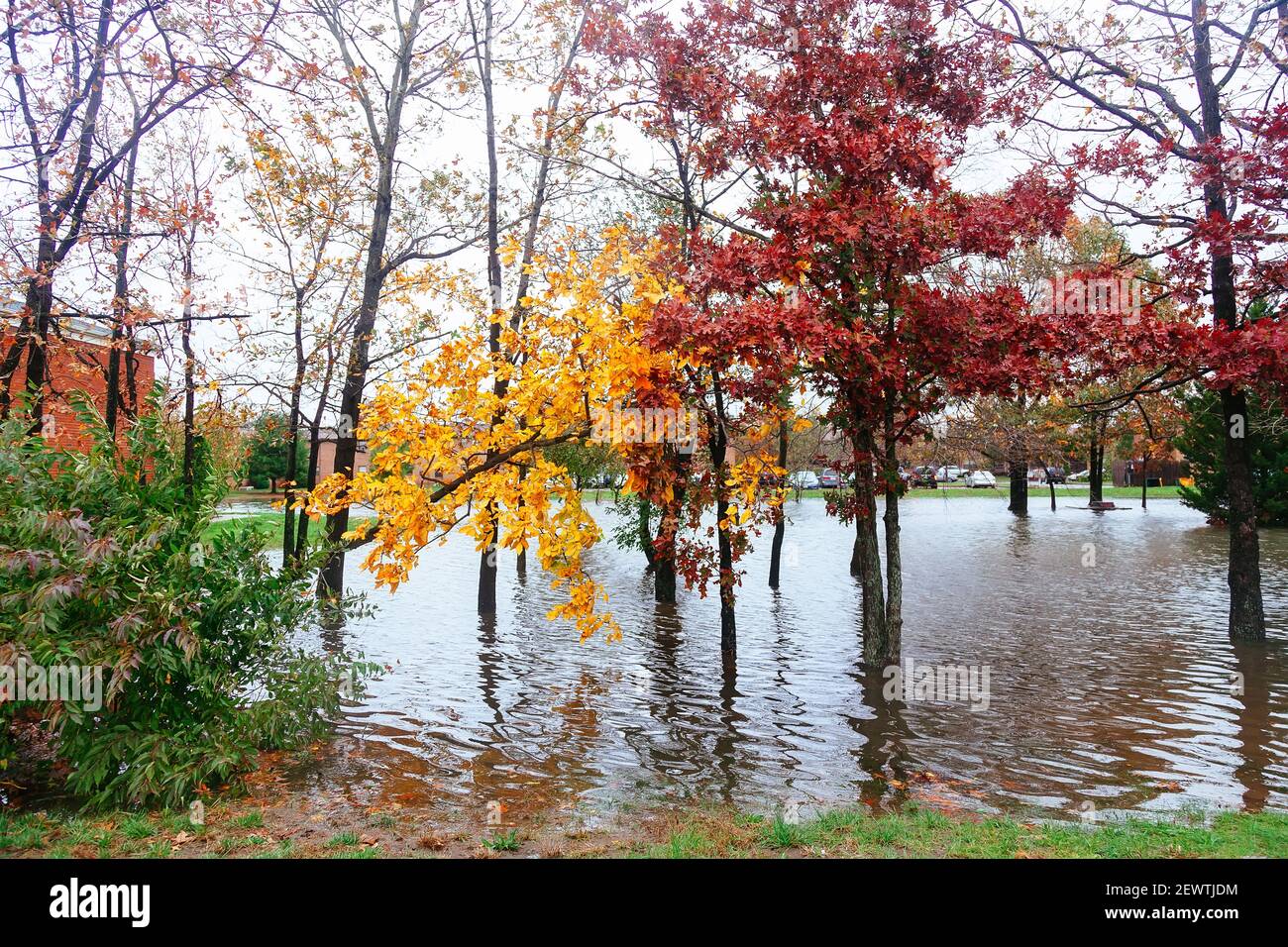 Hurricane flood and wind damage tornado storm felled trees flooding ...