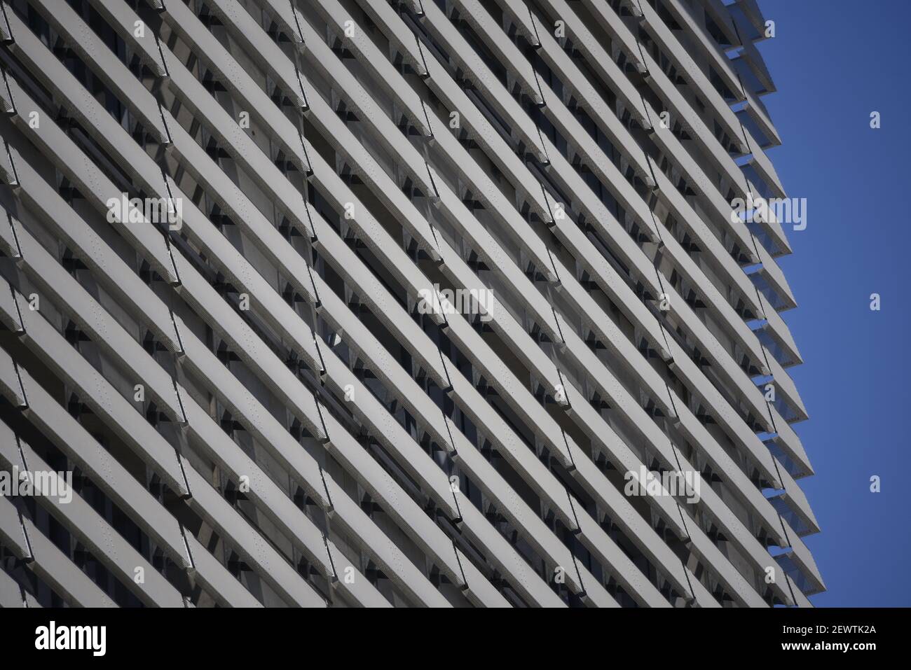 Commercial high-rise building facade covered with symmetrical white ...