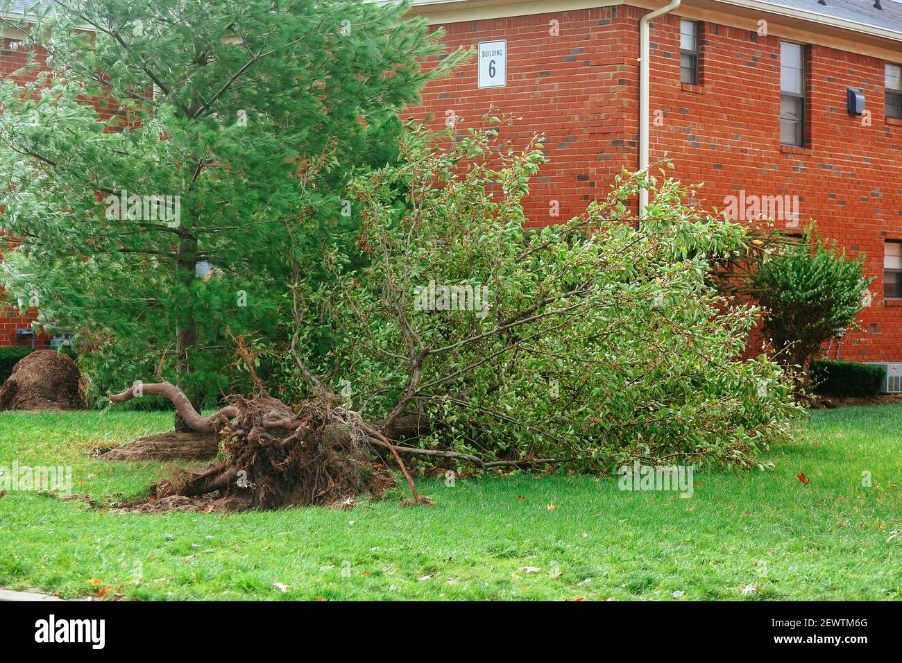 Hurricane flood and wind damage tornado storm felled trees flooding ...