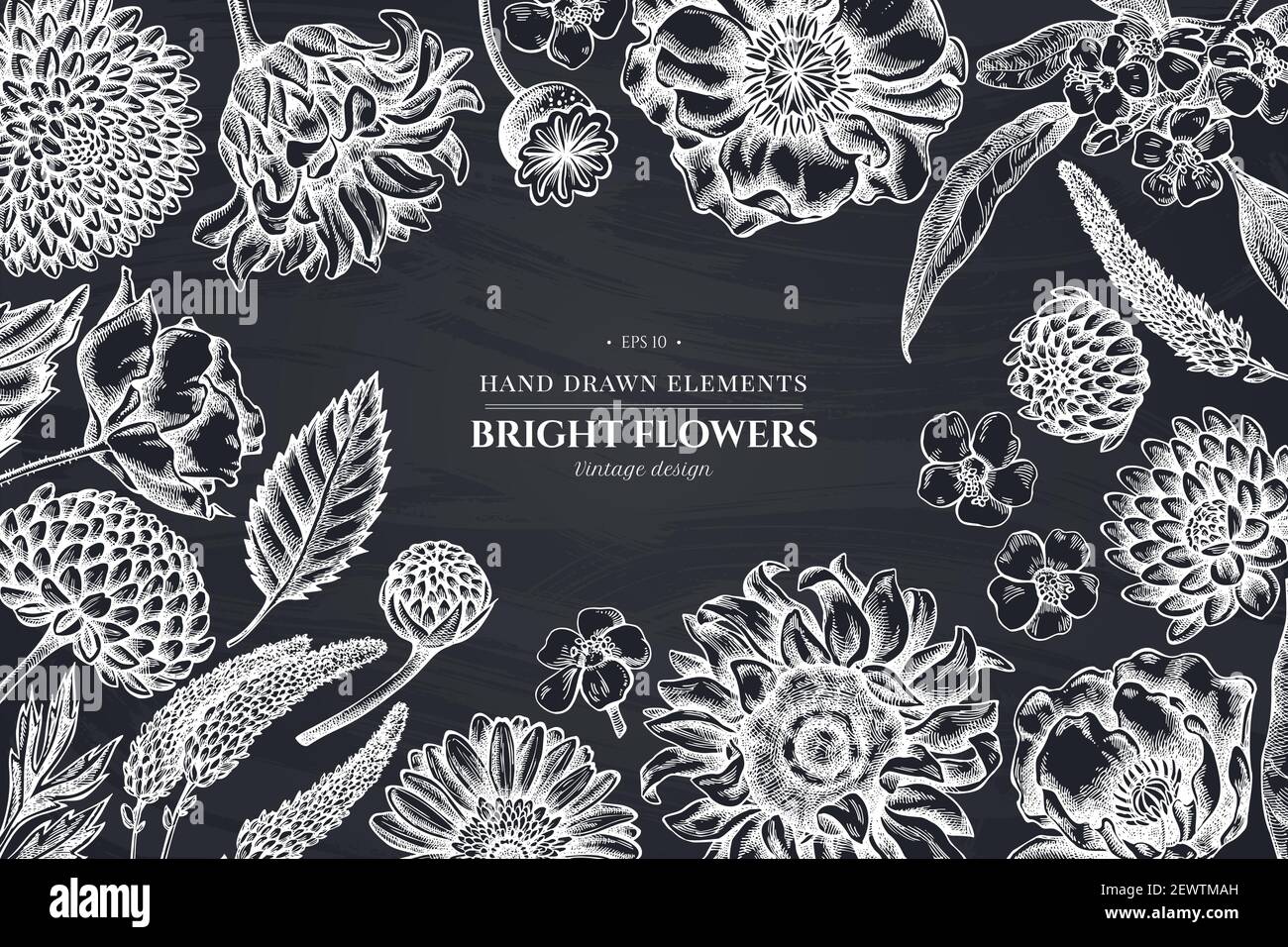 Floral design with chalk poppy flower, gerbera, sunflower, milkweed ...