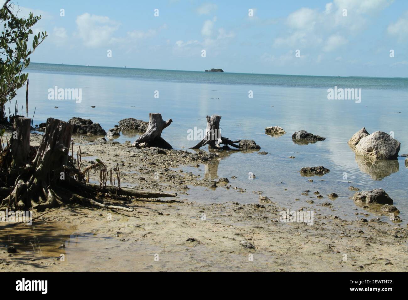 Key Largo, FL, USA. View of the Florida Bay Stock Photo - Alamy