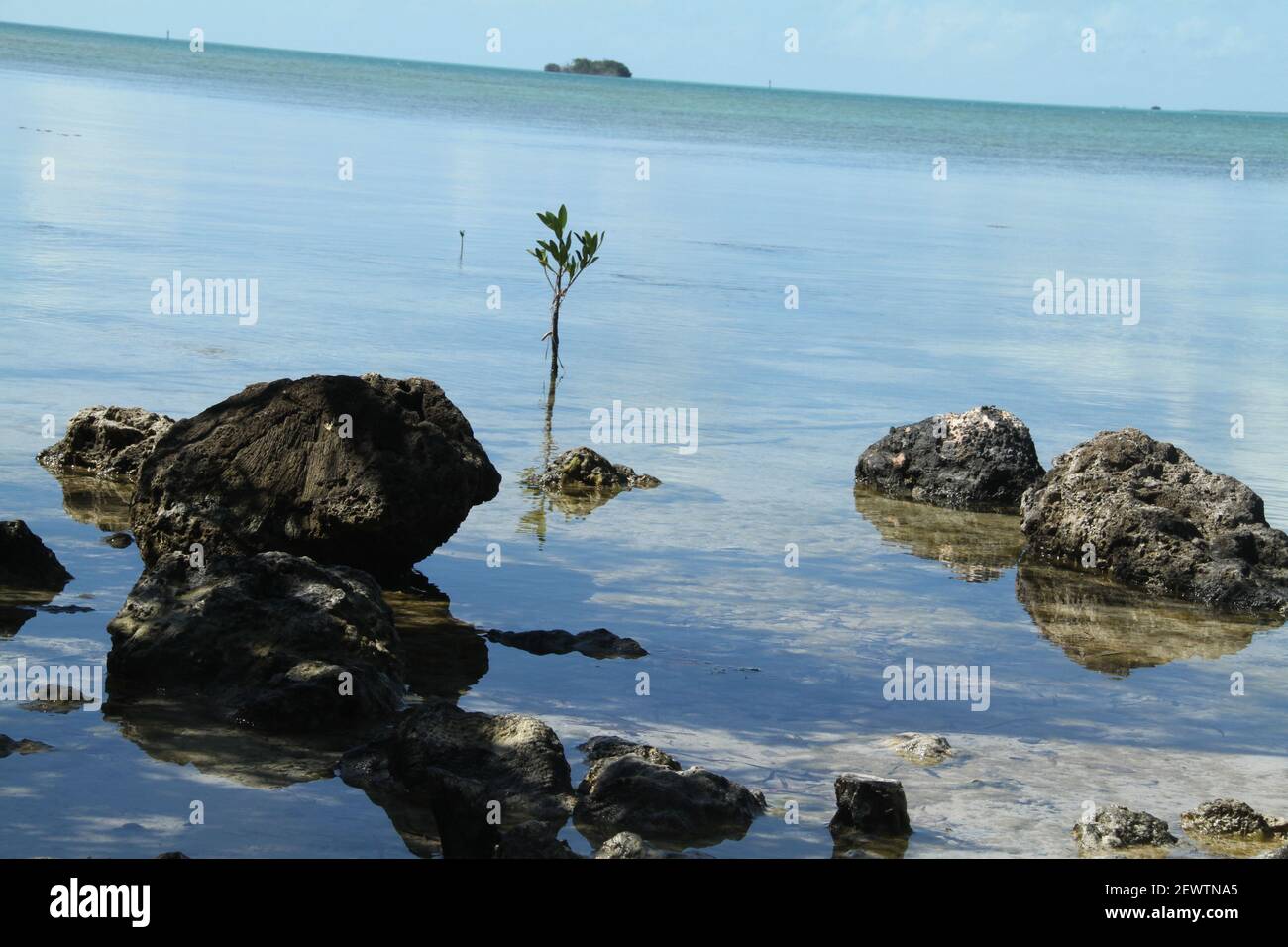 Fl key largo hi-res stock photography and images - Alamy