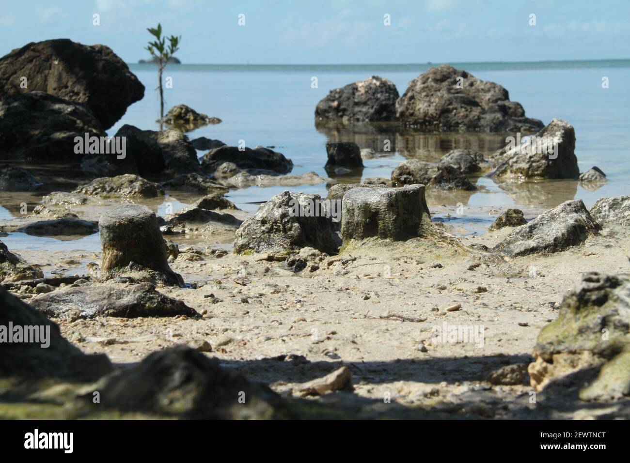 Key Largo, FL, USA. View of the Florida Bay Stock Photo - Alamy
