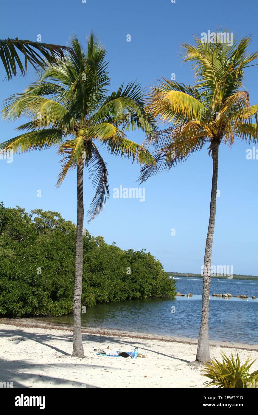 Key Largo, Florida, USA. The Far Beach at John Pennekamp Coral Reef ...