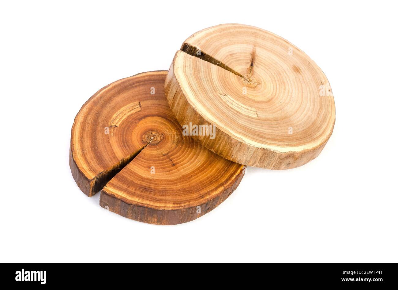 Cut wood tree Cut Out Stock Images & Pictures - Alamy