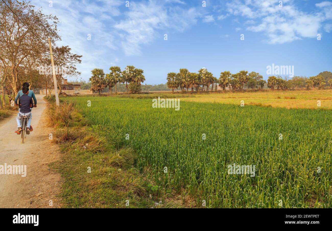 Indian boys on bicycle hi-res stock photography and images - Alamy