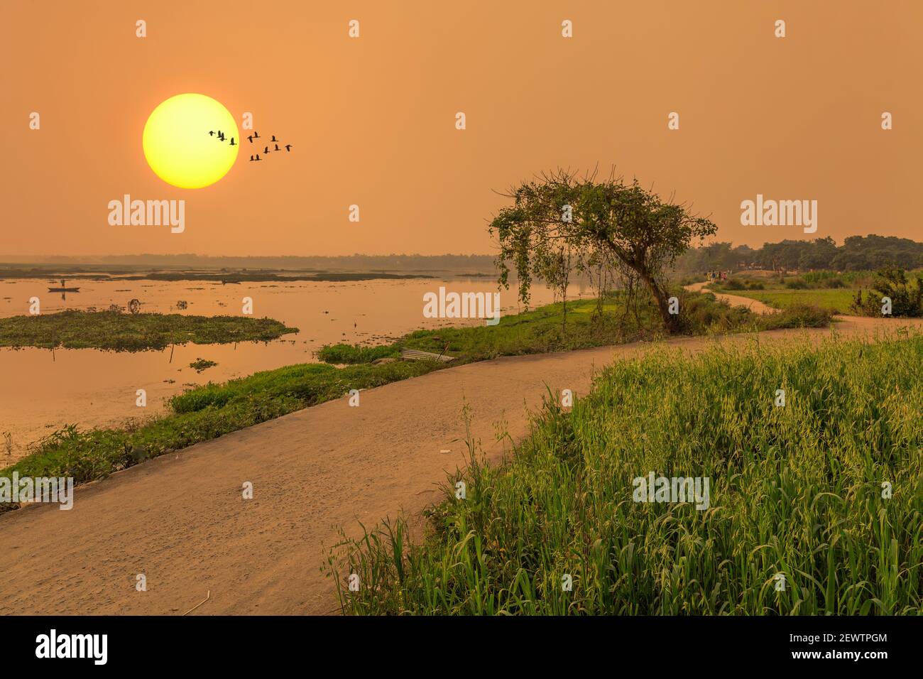 Scenic rural India landscape with view of unpaved village road along ...