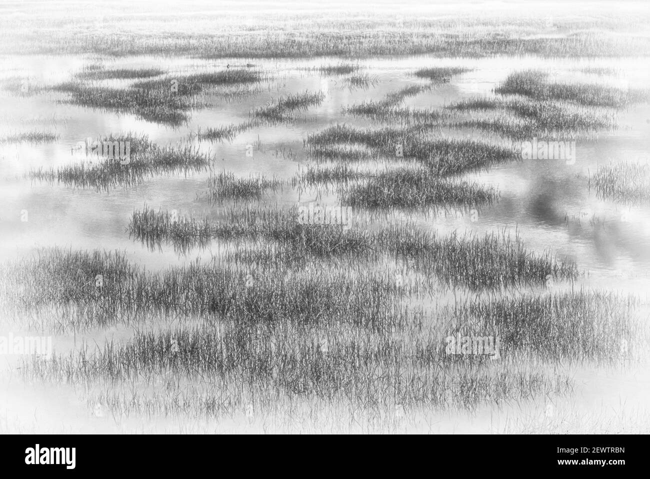 North Kent Marshes Stock Photo - Alamy