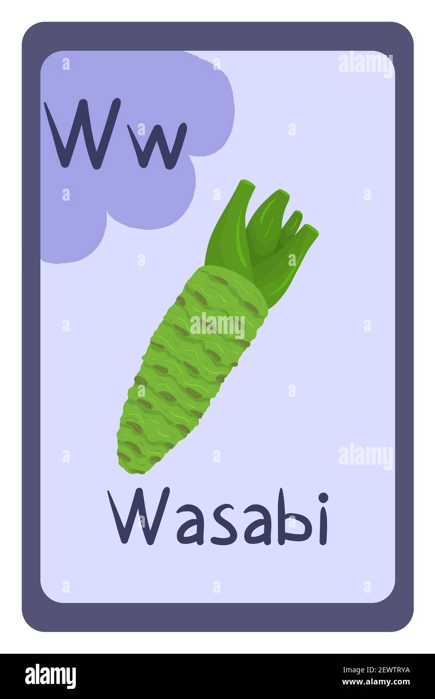 Colorful abc education flash card, Letter W - wasabi, asian green root ...