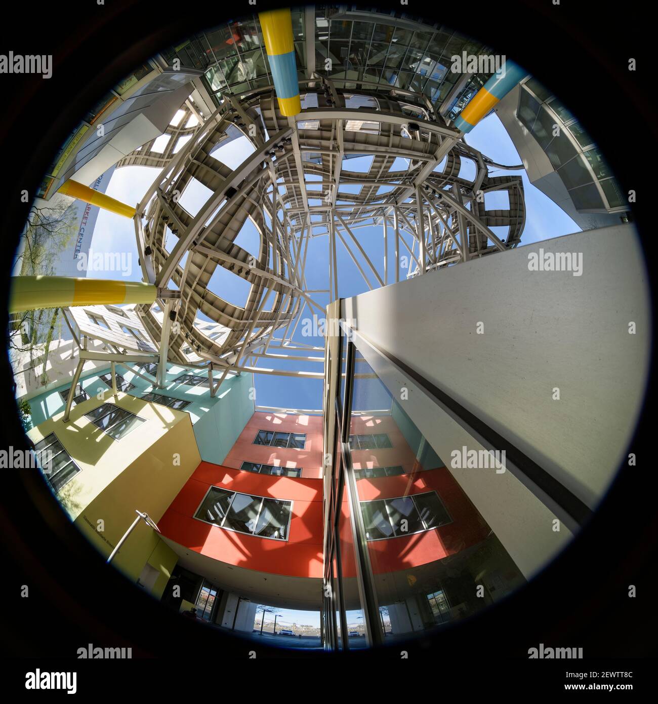 Structures of brain hi-res stock photography and images - Alamy