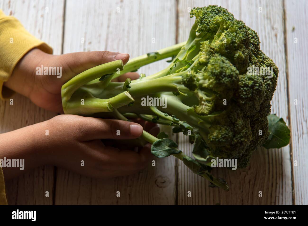 Hand holding raw vegetable Stock Photo - Alamy