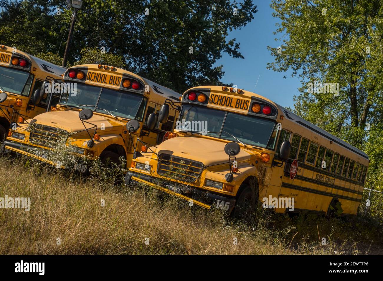 Row of abandoned and disused USA school buses Stock Photo - Alamy