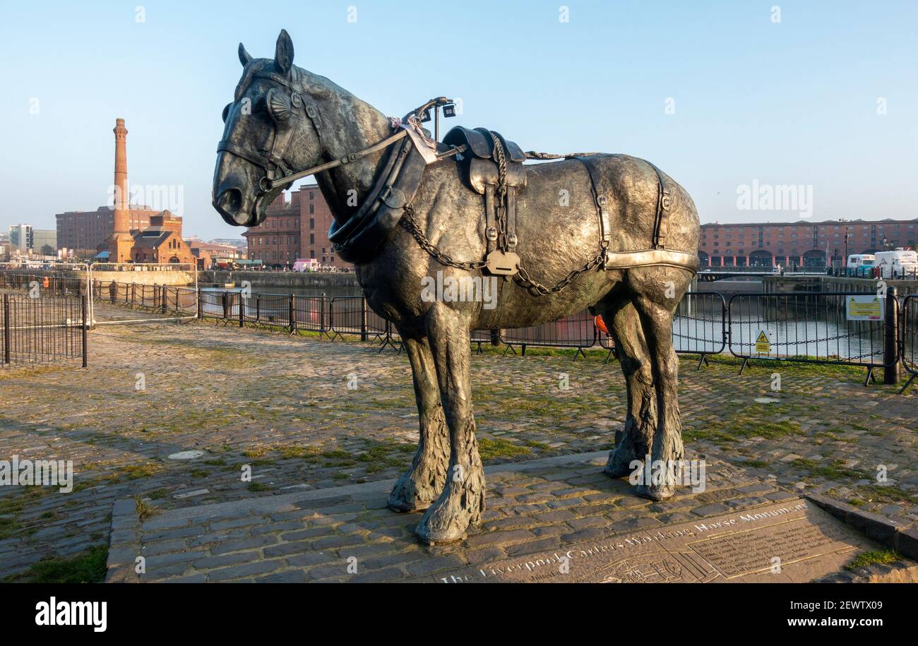 Working horses of liverpool hi-res stock photography and images - Alamy