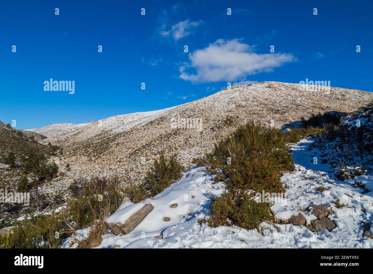 Winter landscape with snow in mountains of Serra do Geres natural park ...