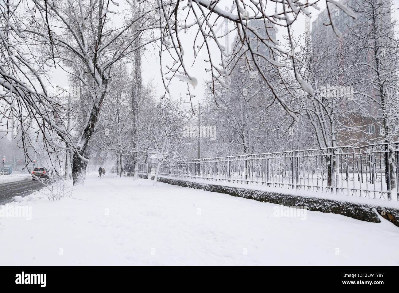 Snow-covered winter street in a city, trees covered with ice and snow ...