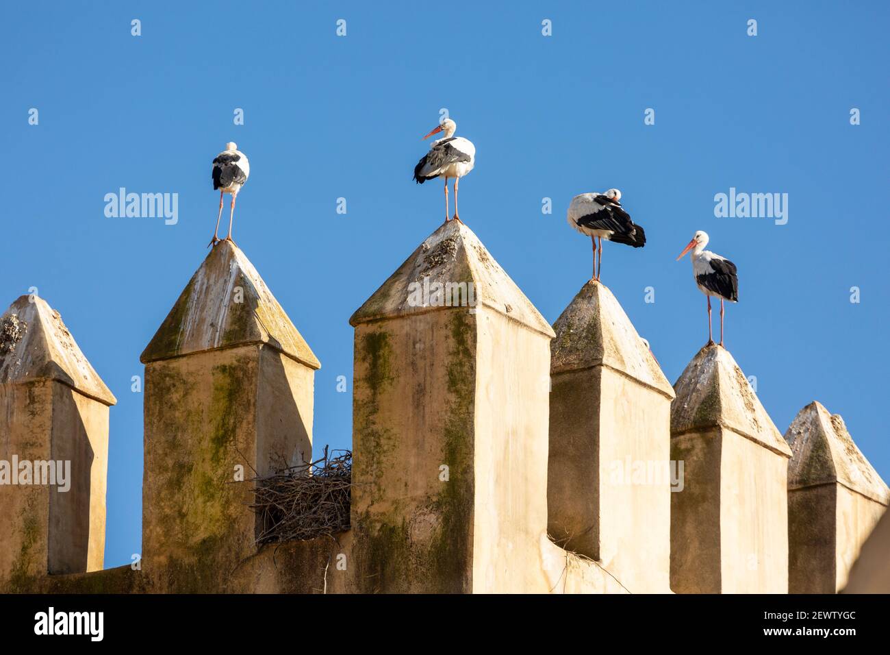 Castellations hi-res stock photography and images - Alamy