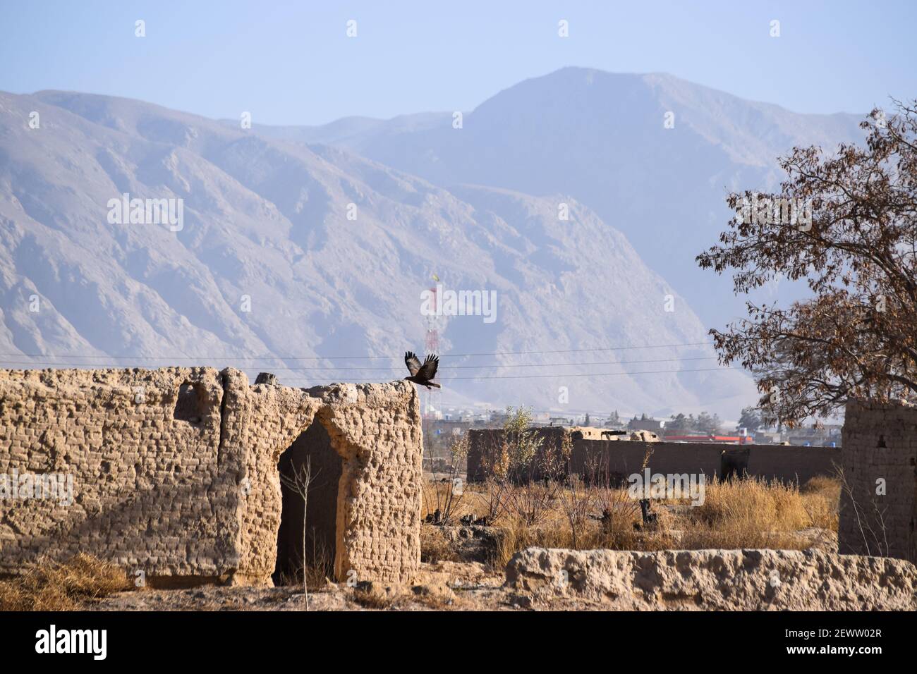 Old house in between grass land outdoor. village home landscape nature ...