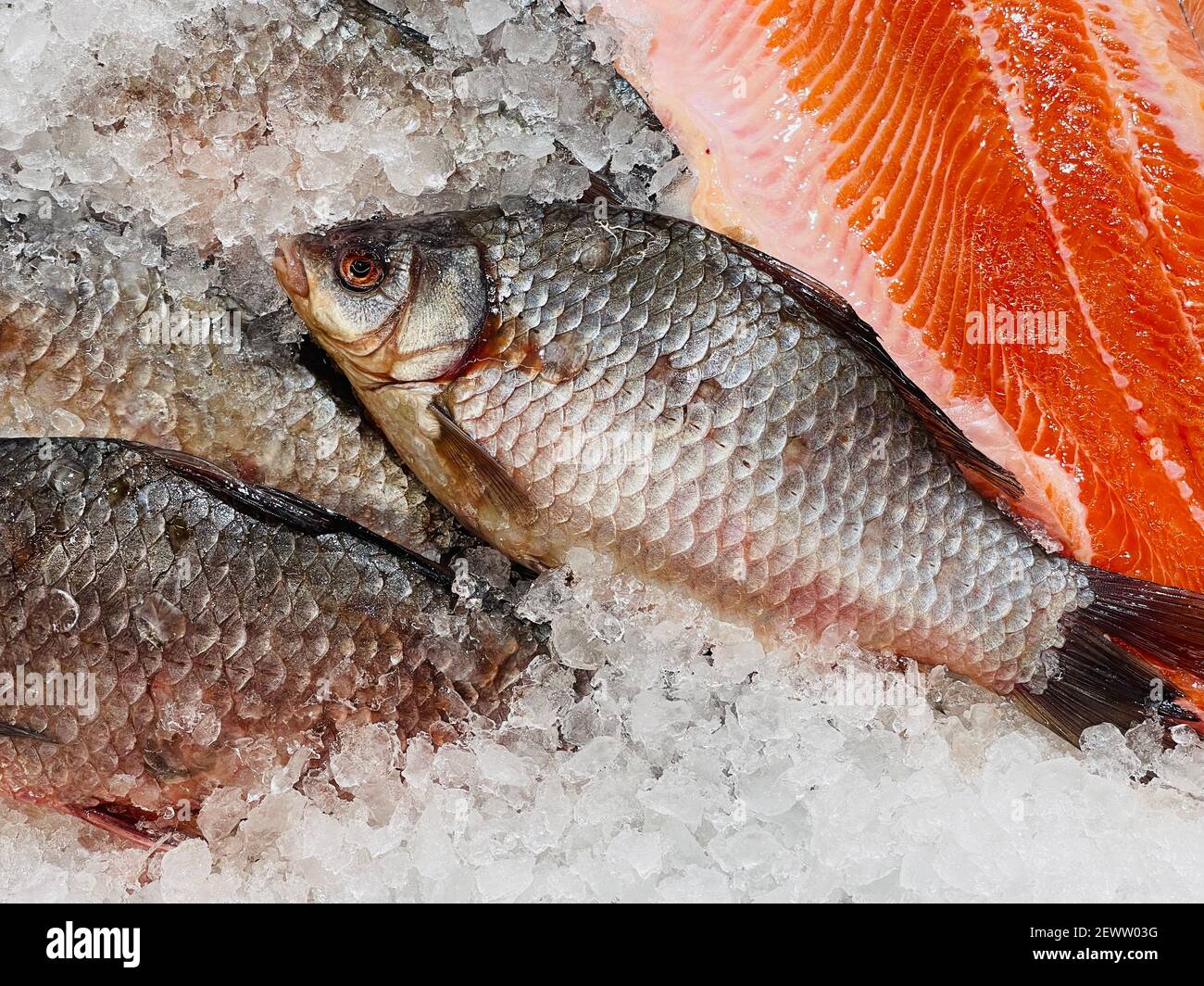 Chilled fish hi-res stock photography and images - Alamy