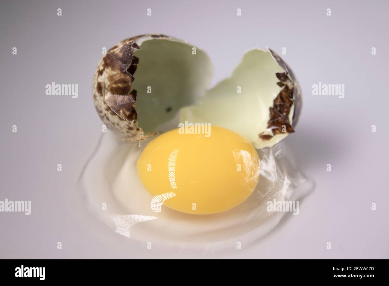 broken Quail egg isolated on white background with leaking white and ...