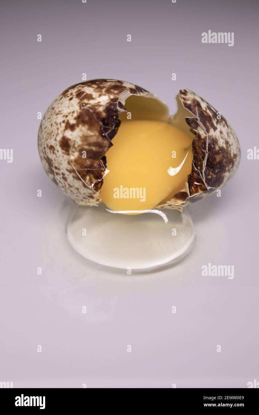 broken Quail egg isolated on white background with leaking white and ...