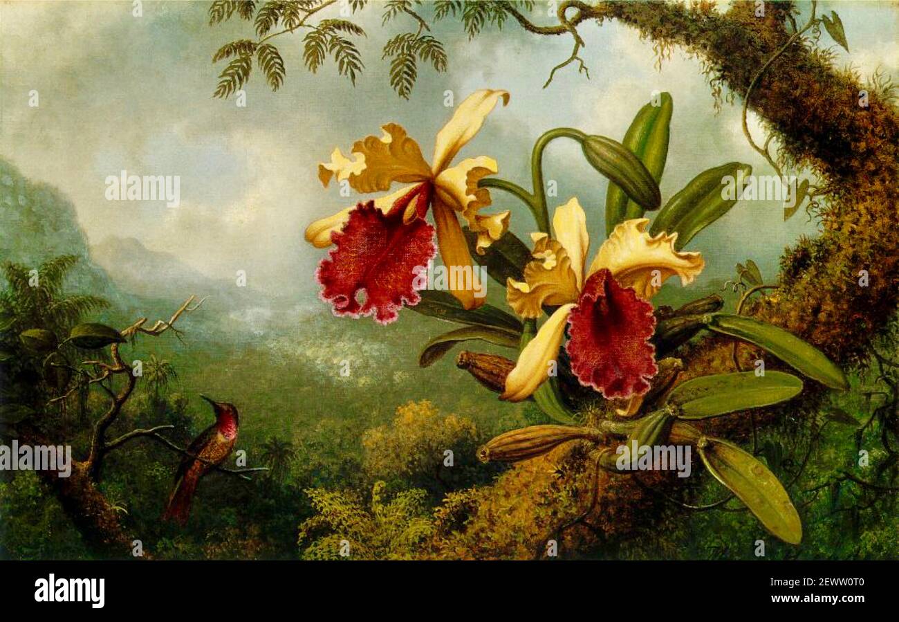 Martin Johnson Heade - Passioflower with Three Hummingbirds Stock Photo ...
