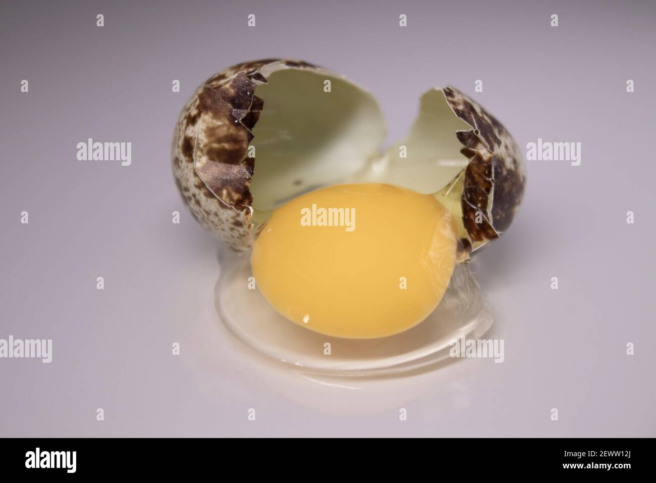 broken Quail egg isolated on white background with leaking white and ...