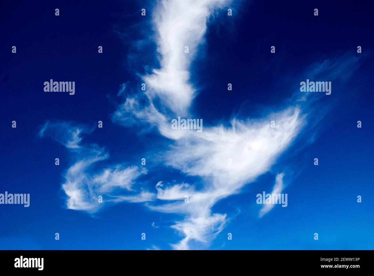 Belladrum Tartan Hearts Festival, Beuly, Scotland Stock Photo - Alamy